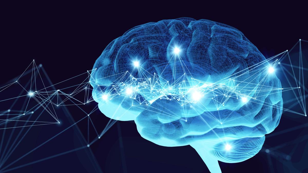 « De l'œil au cerveau », quelles sont les applications thérapeutiques ...