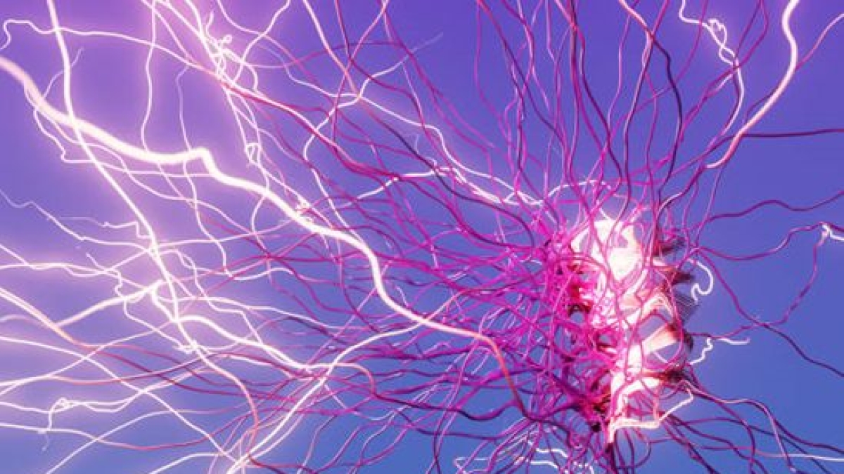 Le cerveau peut augmenter le métabolisme "se souvenant" du froid ...